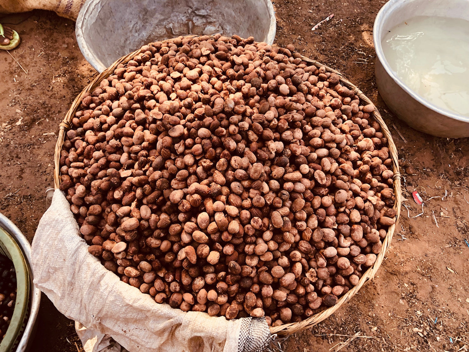 Real Raw Shea - Sourcing Nature's Best